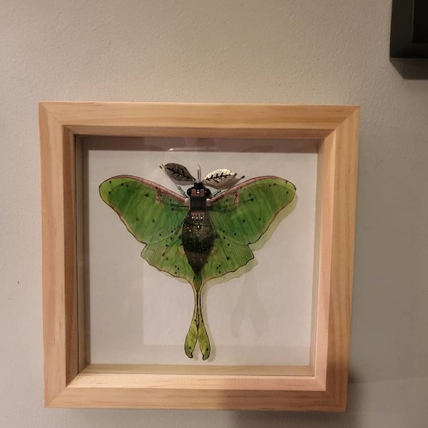 The Large Turquoise Buckeye Butterfly, Circuit Board Insect - Etsy