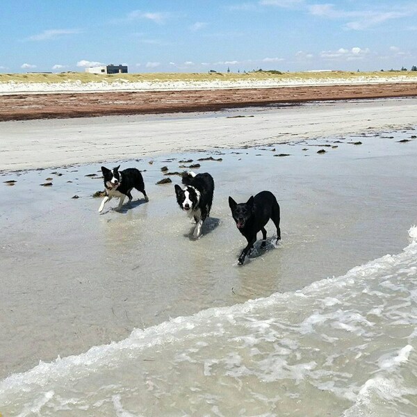 Very Demure Very Mindful Very Cutesy, Athletic Bow SVG File, Coquette ...