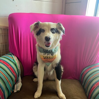 Dog Alphabet Poster PRINTABLE Dog Wall Art Instant - Etsy