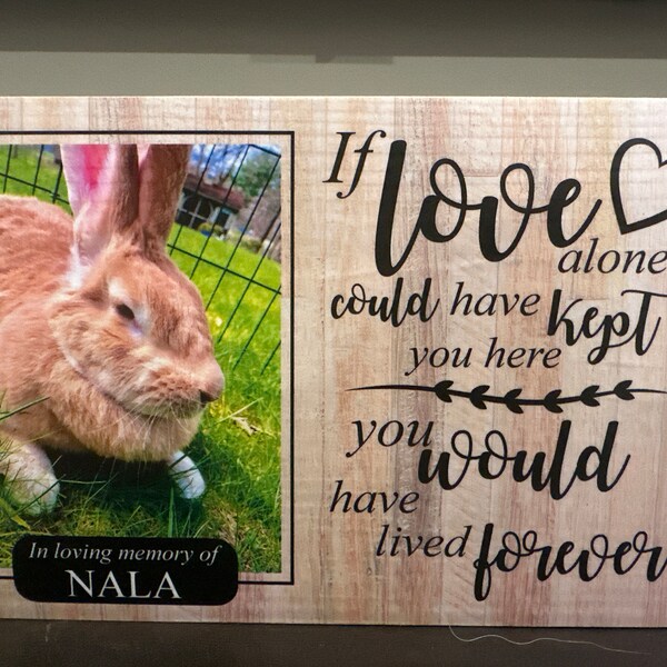 Rabbit Memorial Gift,pet Memorial Frame, Memorial Gift, Rabbit Memorial ...