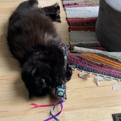 Large Cat Kicker Toy With Ribbons. 12 to 13 Long. Quality Catnip Silver ...