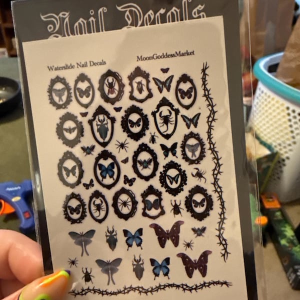 Taxidermy Mounted Beetles Butterflies Bugs Gothic Frames Goth Nail ...