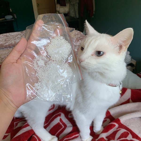 Venice/venise Lace Fabric Trim, Cat Lace Applique Trim, Lovely Lace ...