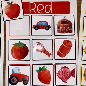 Dolch Primer Sight Words Worksheets Kindergarten Sight Word - Etsy