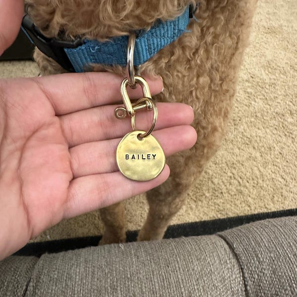 BANKS Medium: Luxury Hand Stamped Personalized Custom Pet ID Tags for ...