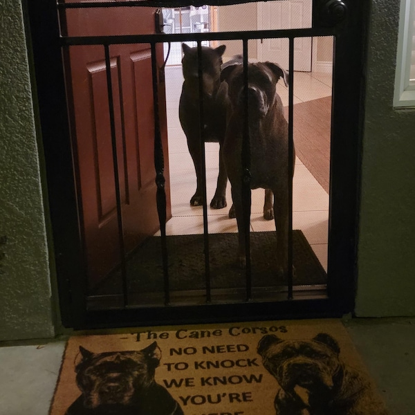 The German Shepherds Door Mat, We Know You ARE Here Shepherd Dogs Door ...