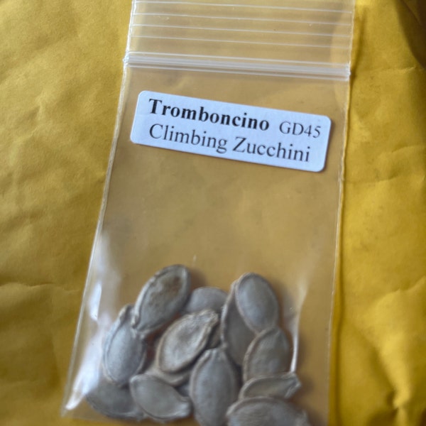 15 TROMBONCINO RAMPICANTE Seeds; Italian Climbing Zucchini; Snake ...