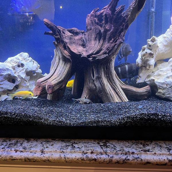 Aquarium Driftwood, 18, Manzanita Branch Ready for Aquascaping Your ...