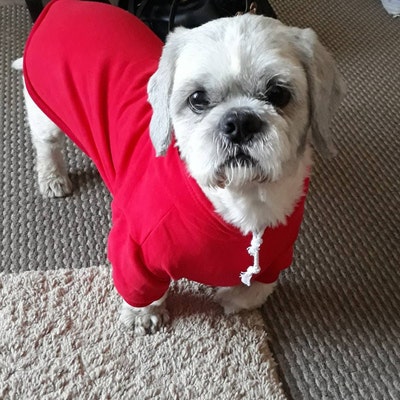 Red Dog Hoodie Red Dog Sweater Red Dog Jumper Dog/puppy - Etsy