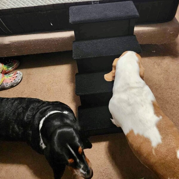 Pet Step 32 Tall X 32 Deep 16 Wide 4 Step - Etsy