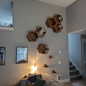 Cat Wall Mount Furniture, Cat Wall Bed, Wooden Cat Hexagon Shelves ...