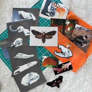 Forever Collecting Dead Things Illustration High-quality | Etsy