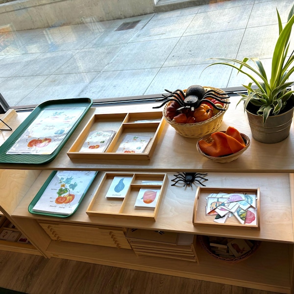 POND LIFE Unit Study, Life Cycle, Anatomy, Nature Study, Science ...