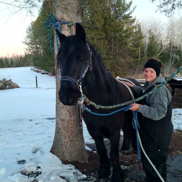 Yacht Rope Sport Mecate Reins W Poppers! Use With Slobber Straps ...