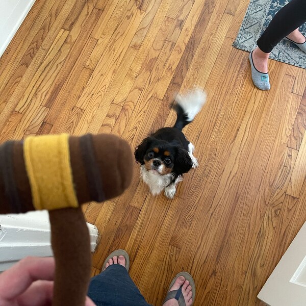 Squeaky Gavel Dog Toy - Etsy