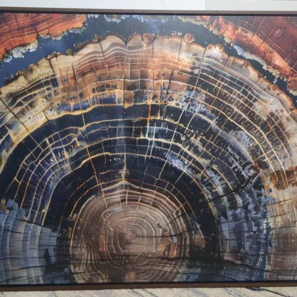 Tree Ring Framed Wall Art, Abstract Colorful Tree Ring Wall Decor ...