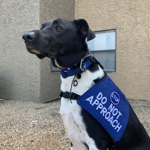 Vest select Your Size, STOP Do Not Approach, Light Weight Sd Style Vest ...