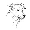Custom Dog Portrait, Line Drawing, Pet Art, Line Dog Portrait, Dog ...
