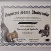 Personalized SQUIRREL University Certificate - Digital, Printed, or ...