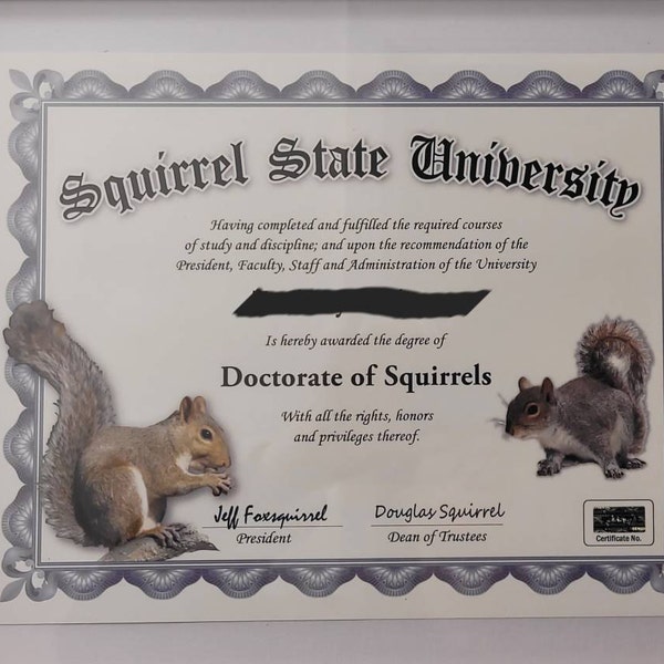 Personalized SQUIRREL University Certificate - Digital, Printed, or ...