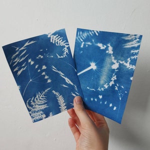 DIY Solar Printing Kit Craft Kit Cyanotype Kit Solar - Etsy