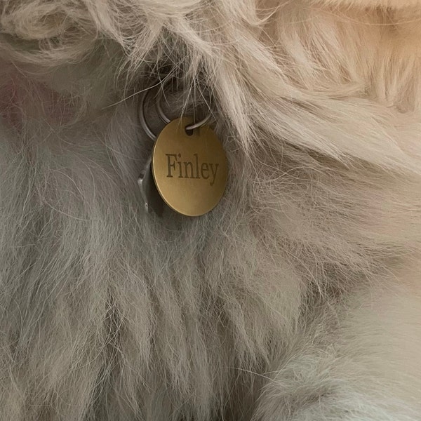 Most Durable Dog ID Tag. Active Dog ID Tag. Large and Heavy Duty Pet ID ...