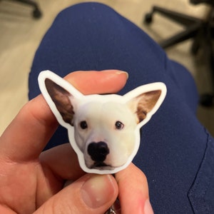 Baby Introduction Stickers Hello My Name Is...stickers - Etsy