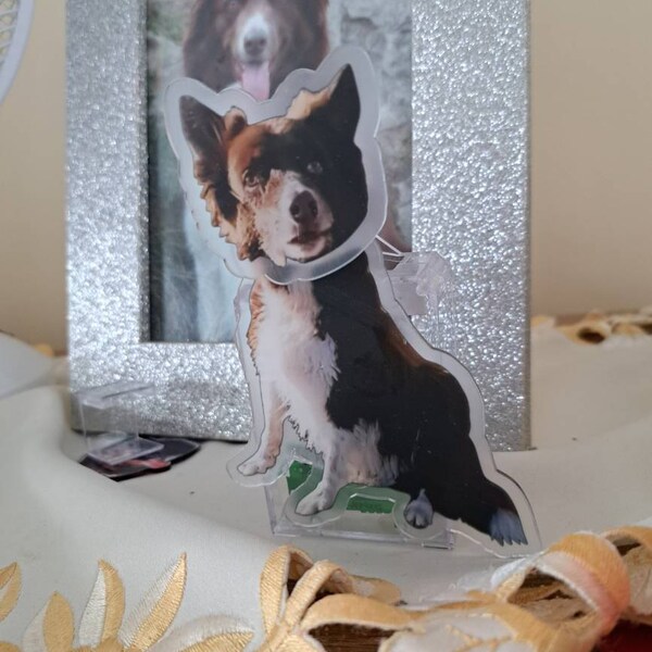 Multi-layered Pet Portraits 2024 Most Creative Pet Portraits Dog ...