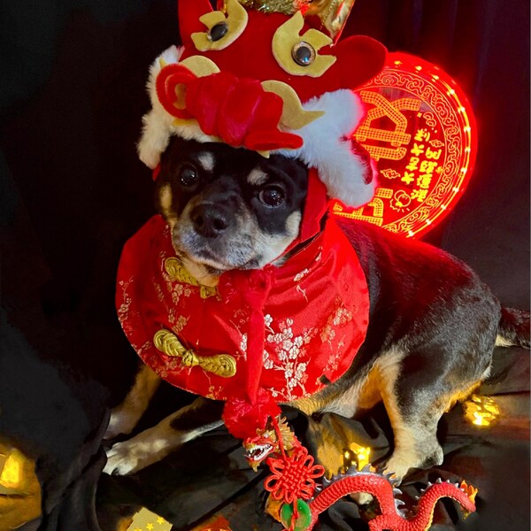 New Year Bandana Bib With Purse for Dogs and Cats, Chinese Spring ...