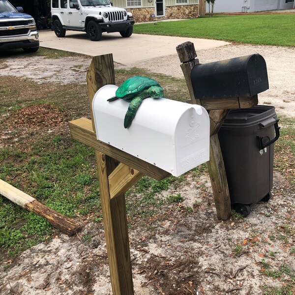 Toon Turtle Mailbox Topper - Customizable Colors! - Etsy