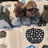 Elephant Shrew Stuffed Toy Native African Animal Shrew Plush Sengi ...