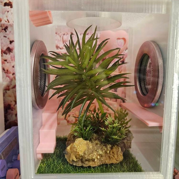 Jumping Spider Small Animal Enclosure Pet Habitat - Etsy