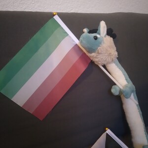 Aroace Spectrum Pride Hand/desk Flags Choose Your Flag Double Sided - Etsy