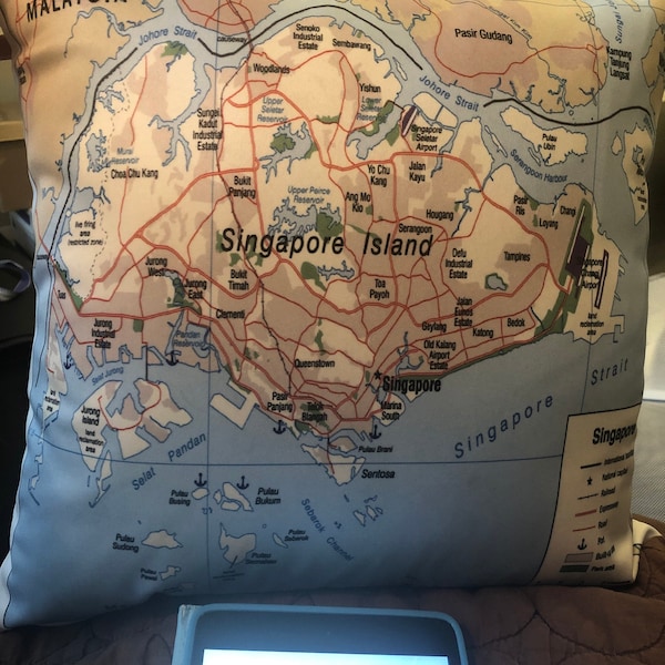 Custom Map Pillow - Personalized Home Decor Couch Throw Pillow - Etsy