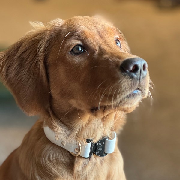 Braided Biothane Paracord Collar | Mothersday Gift| Durable Handmade ...