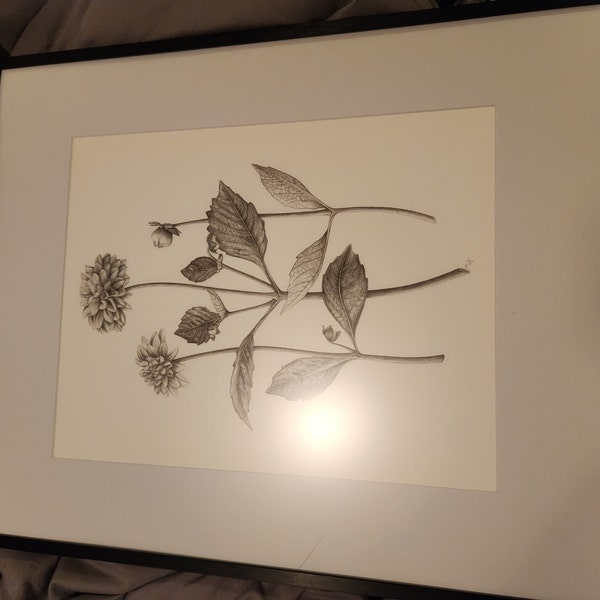 Dahlia Graphite Art Print | Botanical Illustration, Floral Wall Decor ...