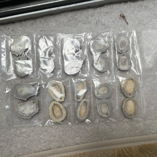 ULTIMATE Classroom Collection of Mammal Fur Pieces 70 Plus Real Fur ...
