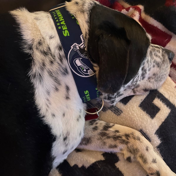 Seattle Seahawks Navy Blue NFL Dog Collar Handmade by Terri's Dog ...