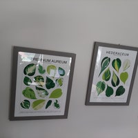 Abyss Deep Sea Creatures small Sizes Art Print Marine Artwork Wall ...