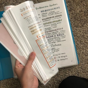 DIGITAL Complete Study Guide Bundle for Nursing Students Nursing Notes ...