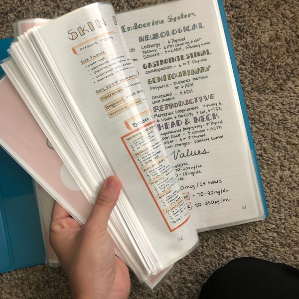DIGITAL - Complete Study Guide Bundle for Nursing Students - Nursing ...