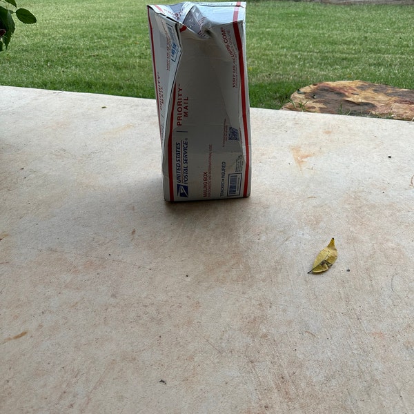 30 SEEDS Bitter Melon Momordica Charantia Bitter Gourd Melon Cundeamor ...