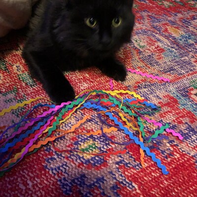 Ribbon-on-a-stick Cat Toy Teaser Wand With Ribbons Kitten Toy - Etsy