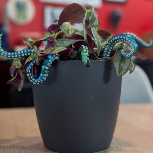 House Plant Accessories Decor - Set of 8 Sea Monster Tentacles - Etsy House Plant Accessories Decor - Set of 8 Sea Monster Tentacles - Etsy