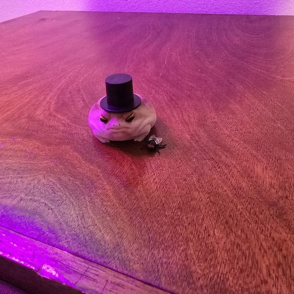 Rainfrog, Rain Frog Squishy, Frog Fidget Toy, Plush Frog Soft Toy - Etsy