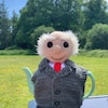 Michael Tea Higgins / Michael Tea / Michael D Higgins Teapot Cosy ...