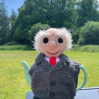 Michael Tea Higgins / Michael Tea / Michael D Higgins Teapot Cosy ...
