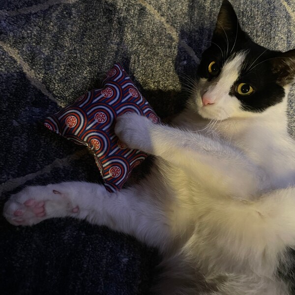 Floppy Disk Pastel Colors Pink Container Pencil Cup Planter Upcycled ...