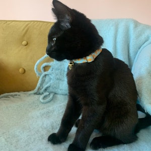 Gold Fish Cat Collar With Bell and Charm, Blue Breakaway Cat Collar ...