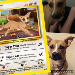 Your Pet as a Pokemon card | Etsy